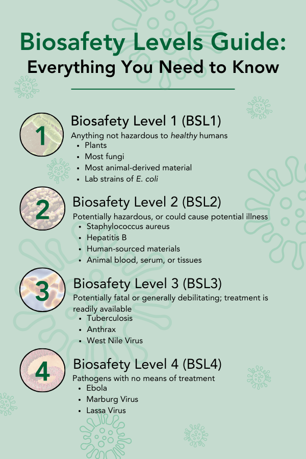 Biosafety Levels Guide: Everything You Need to Know