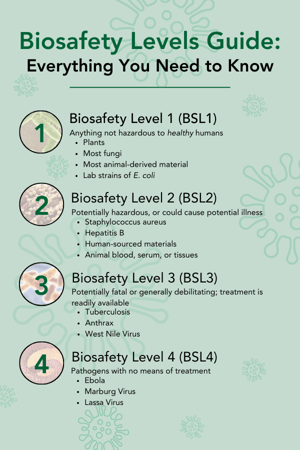 Biosafety Levels Guide: Everything You Need to Know