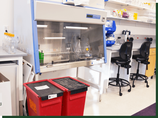 BSC Certification & Cleanup | Triumvirate Environmental