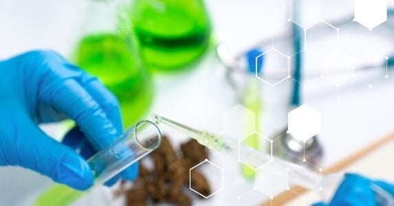 Cannabis Waste Disposal for Growers, Manufacturers, & Retailers